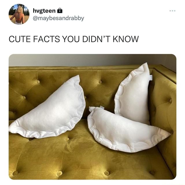 CUTE FACTS YOU DIDN'T KNOW - iFunny