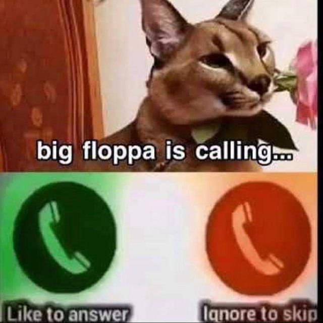Big floppa is calling= fl @a ameutne - iFunny