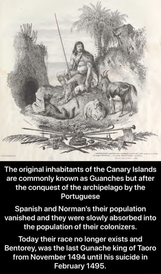 The original inhabitants of the Canary Islands are commonly known as ...