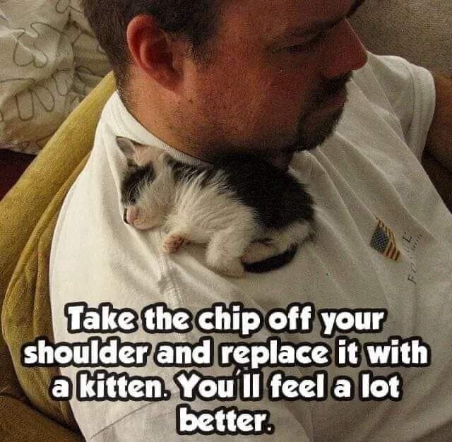 Take the chip off your shoulder and replace it with a kitten. You feed ...