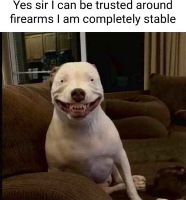 Yes sir I I can be trusted around firearms I am completely stable - iFunny