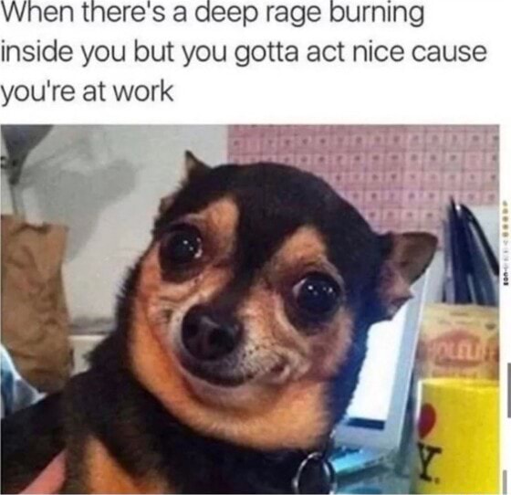 When there's a deep rage burning inside you but you gotta act nice ...