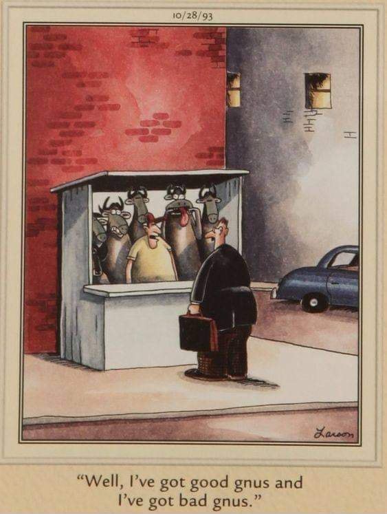 The Pun Meister I'll have the good gnus first please. - "Well, I've got ...
