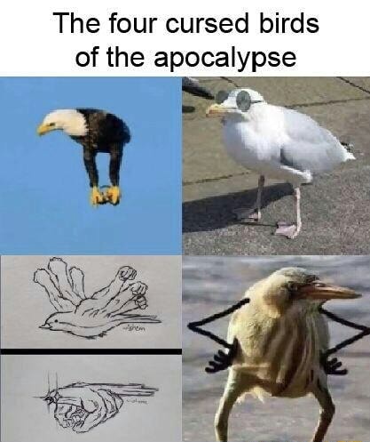 The four cursed birds of the apocalypse - iFunny