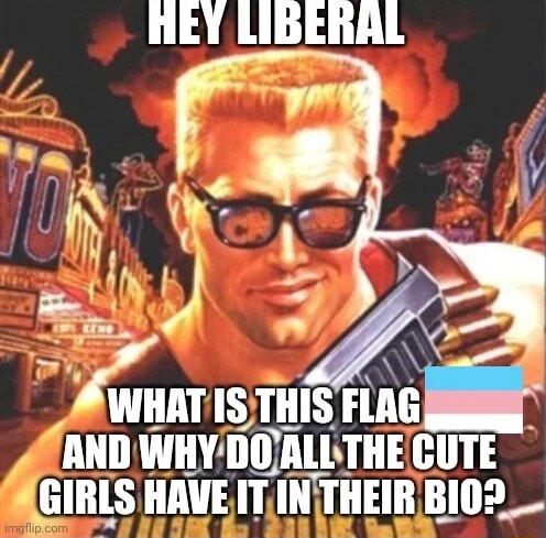 HEY LIBERAL WHAT IS THIS FLAG AND WHY DO ALL THE CUTE GIRLS HAVE IT IN ...