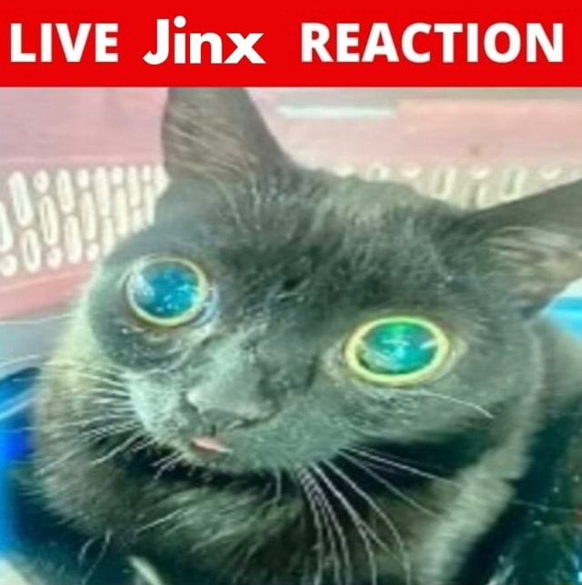 LIVE Jinx REACTION - iFunny