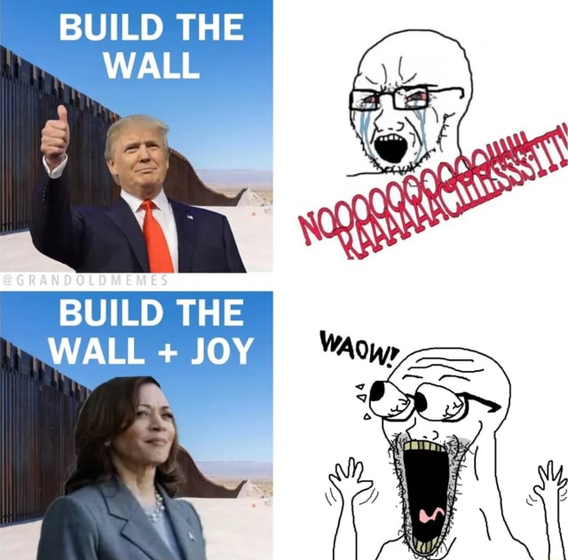 BUILD THE WALL BUILD THE WALL + JOY - iFunny