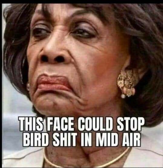 THIS FACE GOULD STOP BIRD SHIT IN MID AIR - iFunny