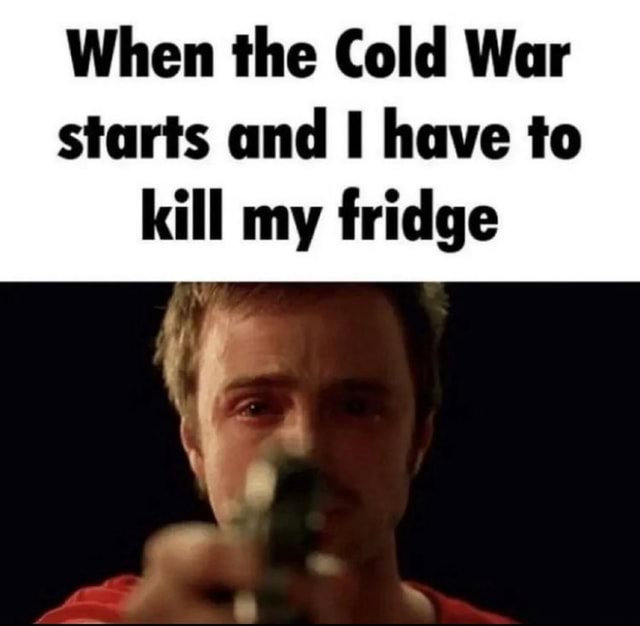 When the Cold War starts and have to kill my fridge - iFunny