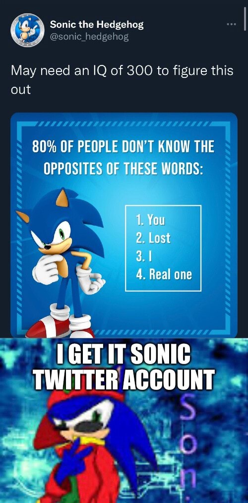 Sonic the Hedgehog hedgehog May need an IQ of 300 to figure this out 80 ...