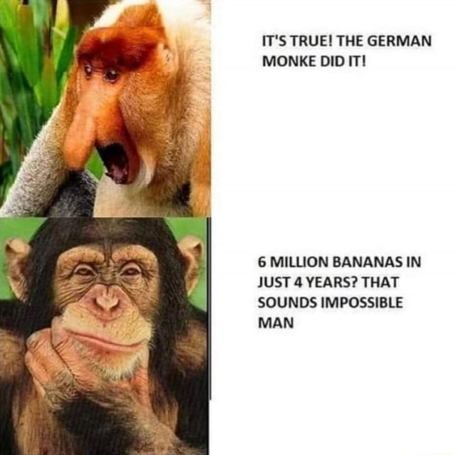 IT'S TRUE! THE GERMAN MONKE DID IT! 6 MILLION BANANAS IN JUST 4 YEARS ...