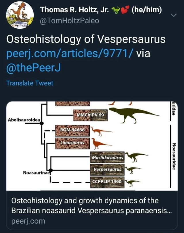 Thomas R. Holtz, Jr. Osteohistology of Vespersaurus via @thePeerJ ...