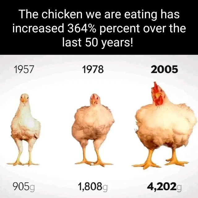 The chicken we are eating has increased 364% percent over the last 50 ...