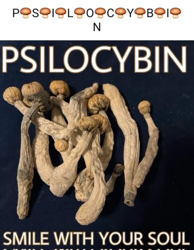 PSILOCYBIN AN SMILE WITH YOUR SOUL - iFunny