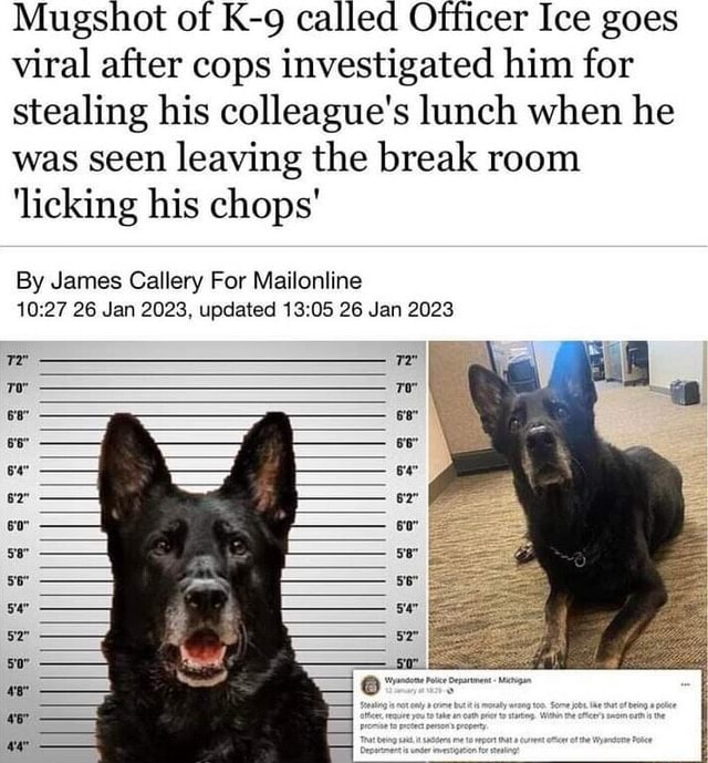 Mugshot of called Officer Ice goes viral after cops investigated him ...