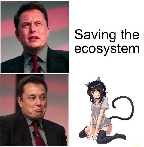 Saving the ecosystem - iFunny