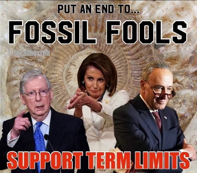PUT 'AN END TO... FOSSIL: FOOLS - iFunny