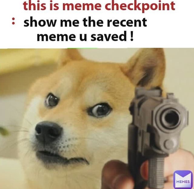 This is meme checkpoint show me the recent meme u saved ! - iFunny