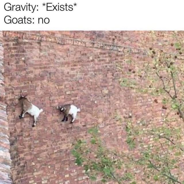 N/A - Gravity: *Exists* Goats: no - America’s best pics and videos