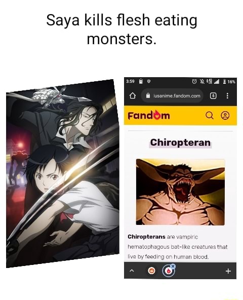 Saya kills flesh eating monsters. Fandom Qa@ Chiropteran - iFunny