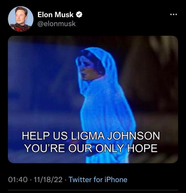Elon Musk @ @elonmusk HELP US LIGMA JOHNSON YOU'RE OUR ONLY HOPE ...