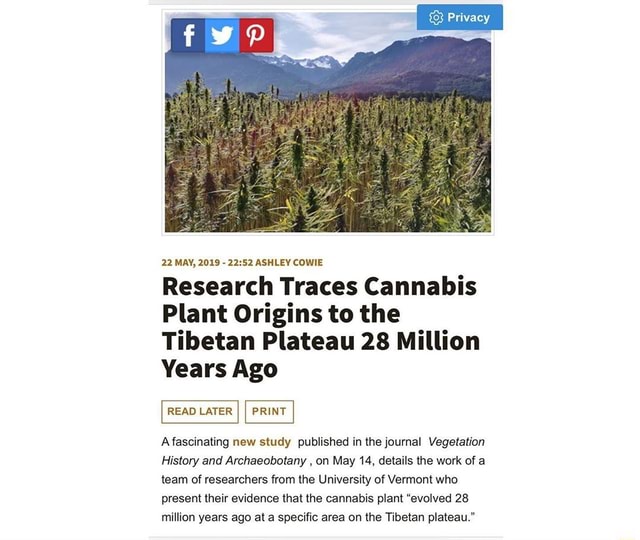 Research Traces Cannabis Plant Origins to the Tibetan Plateau 28 ...