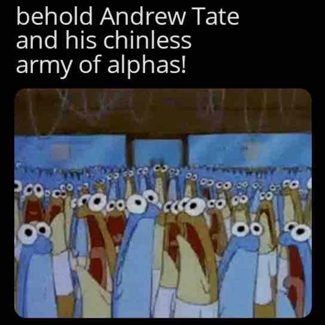 Behold Andrew Tate and his chinless army of alphas! CO Ww yey - iFunny