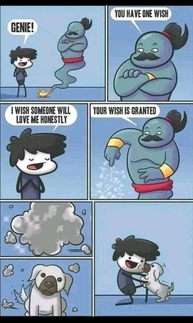 YOU HAVE ONE WISH GENIE! I WISH SOMEONE WILL LOVE ME HONESTLY - iFunny