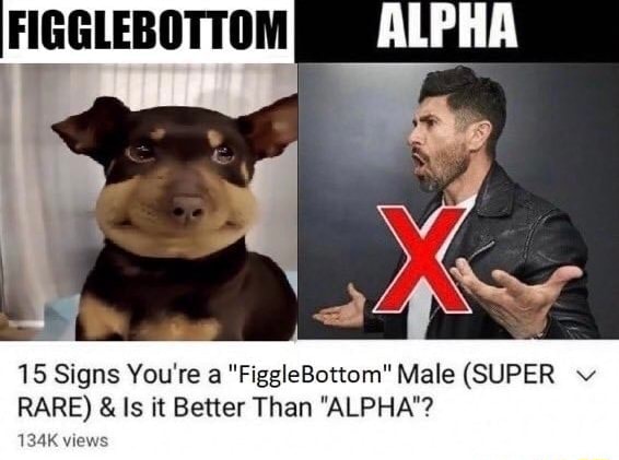 FIGGLEBOTTOM ALPHA 15 Signs You're "FiggleBottom" Male (SUPER RARE ...