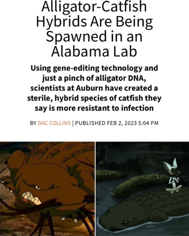 Alligator-Cattish Hybrids Are Being Spawned in an Alabama Lab Using ...