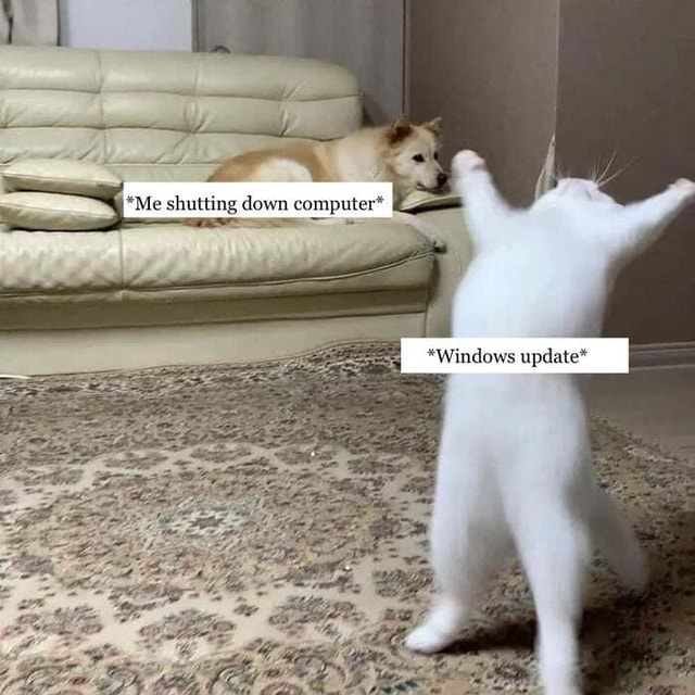 *Me shutting down computer* *Windows update' - iFunny