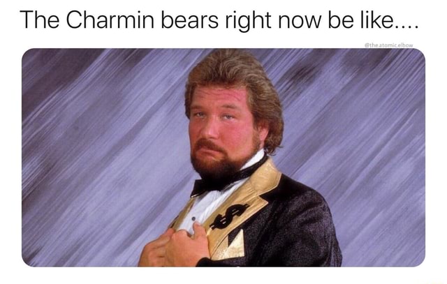 @the.atomic.elbow on IG meme dump - The Charmin bears right now be like ...