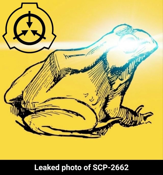 Leaked photo of SCP-2662 - Leaked photo of SCP-2662 - iFunny