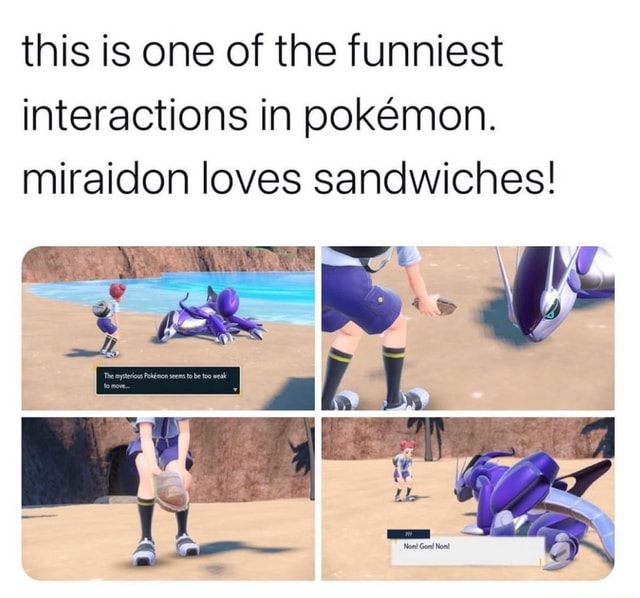This is one of the funniest interactions in pokemon. miraidon loves ...