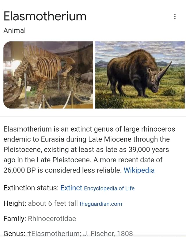 Elasmotherium Animal Elasmotherium is an extinct genus of large ...
