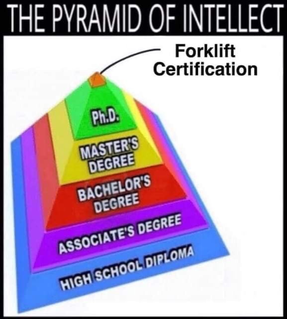 THE PYRAMID OF INTELLECT Forklift Certification phd: STERS GREE - iFunny