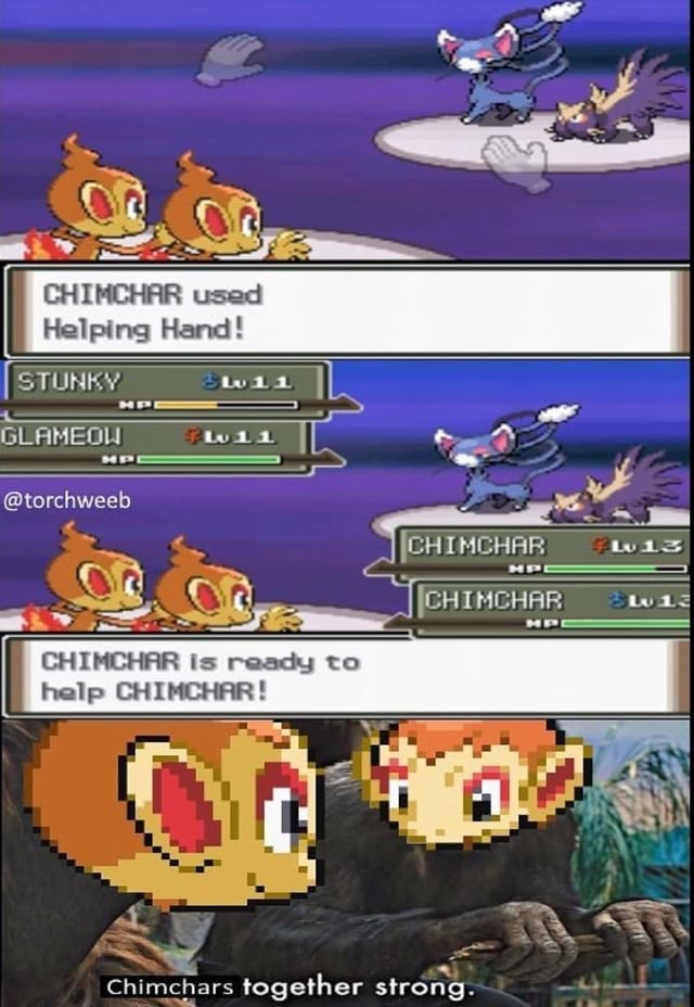 CHIMCHAR used Helping Hand! STUNKY IL. MCHAR torchweeb CHIMCHAR is ...