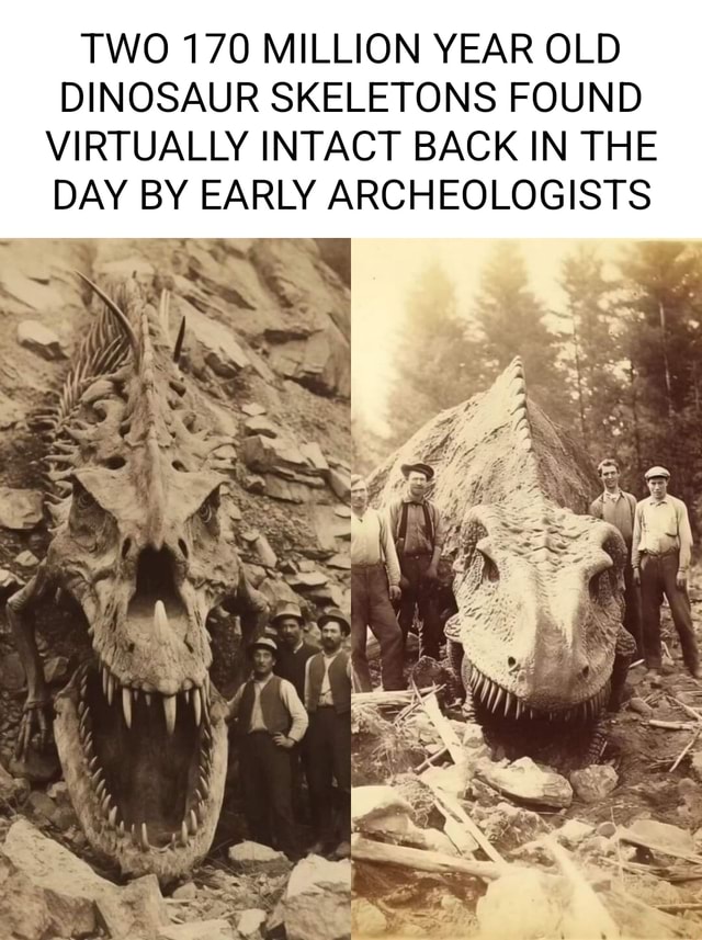 TWO 170 MILLION YEAR OLD DINOSAUR SKELETONS FOUND VIRTUALLY INTACT BACK ...