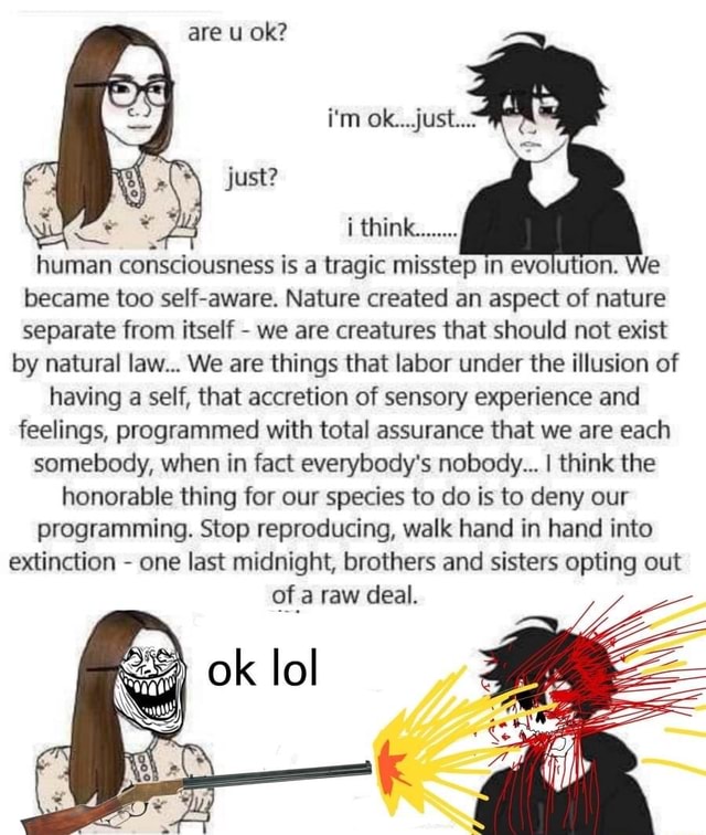 Are u ok? i'm ok... just... human consciousness is a tragic misstep in ...