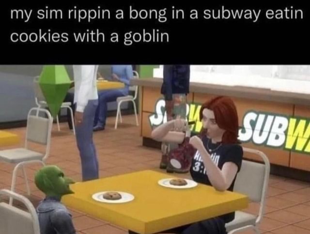 My sim rippin a bong in a subway eatin cookies with a goblin I - iFunny