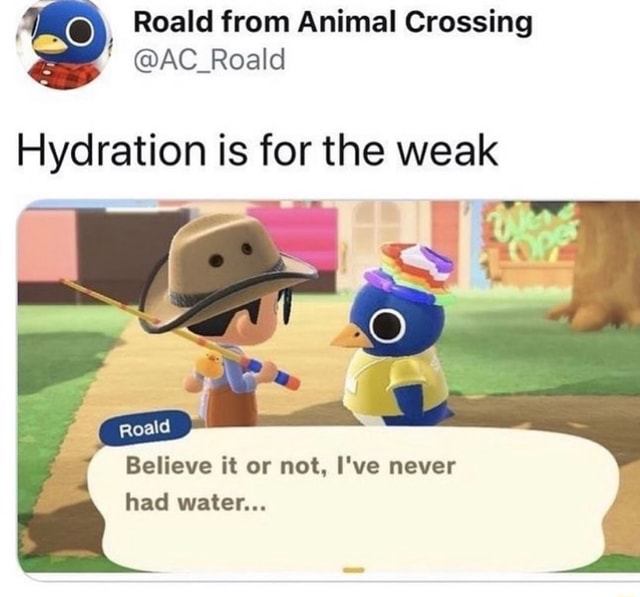 Roald from Animal Crossing @AC _Roald Hydration is for the weak Believe ...