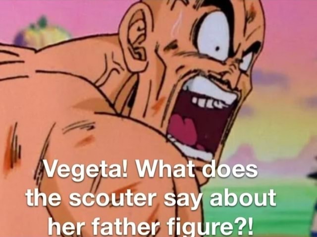 Vegeta! What does the scouter say about her father fiqure7?! - iFunny