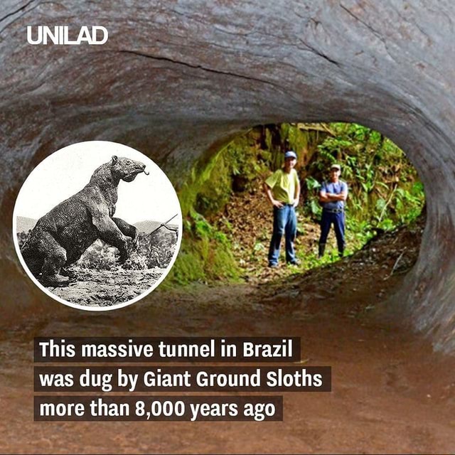 UNILAD This massive tunnel in Brazil was dug by Giant Ground Sloths ...