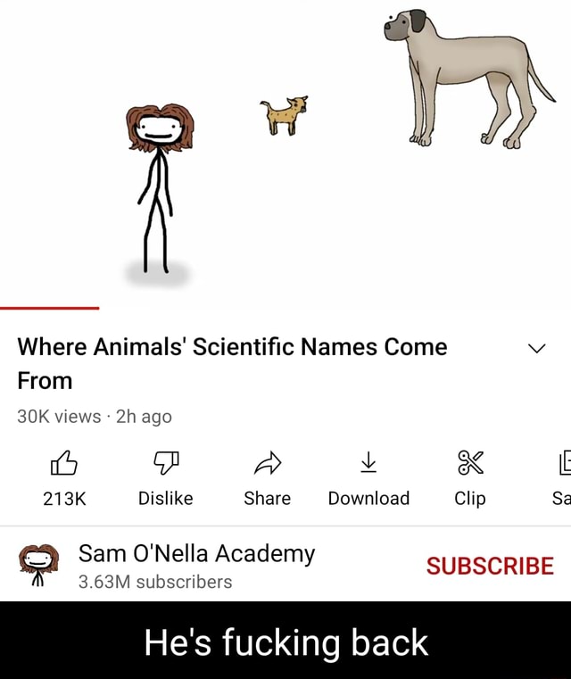 Where Animals' Scientific Names Come From views ago IE 213K Dislike ...