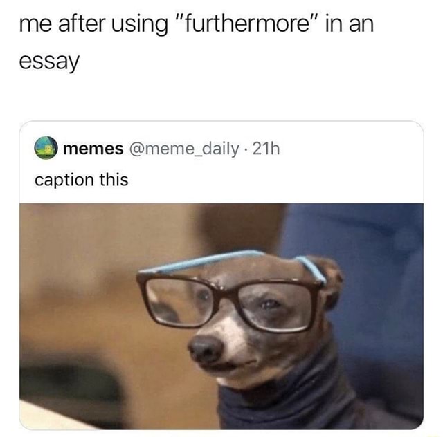 Me after using "furthermore" in an essay O memes (Qmeme. daily caption ...