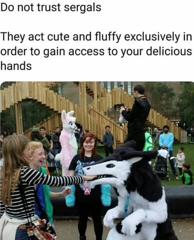 Do not trust sergals They act cute and ﬂuffy exclusively in order to ...