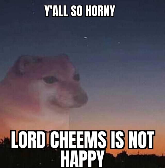 Y'ALL SO HORNY LORD CHEEMS IS NOT Hippy - iFunny