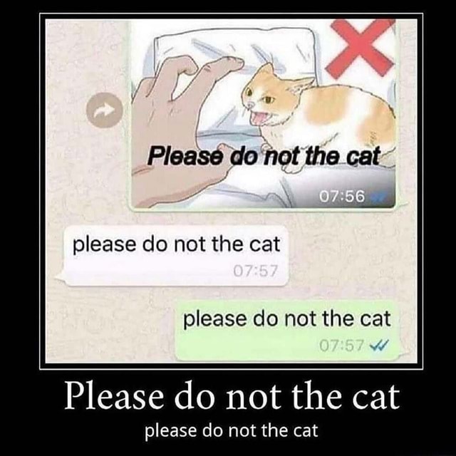 Pleasé do not the cat please do not the cat please do not the cat ...