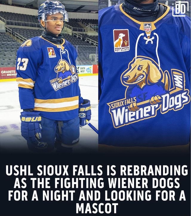 USHL SIOUX FALLS IS REBRANDING AS THE FIGHTING WIENER DOGS FOR A NIGHT ...