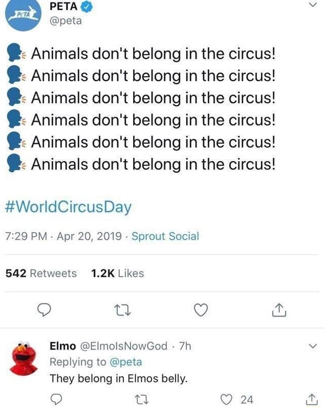 PETA @peta Animals don't belong in the circus! Animals don't belong in ...